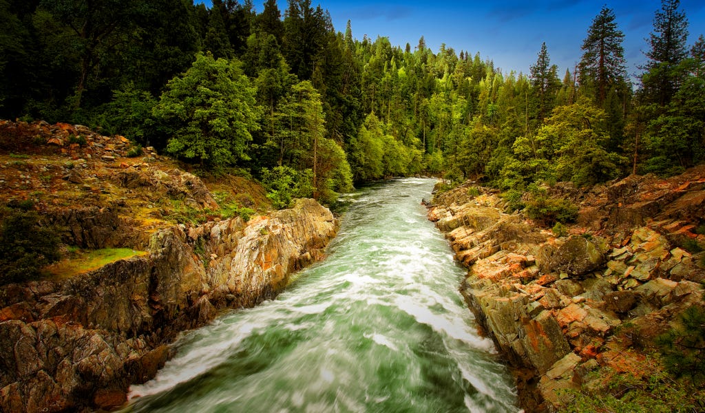 Accepter - by Olivier - L'Echo de la Source