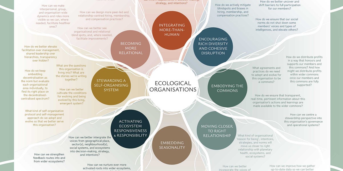 The Ecological Organisations Framework - by Anna-Marie Swan
