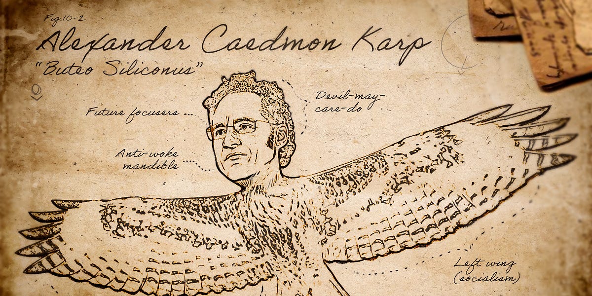 Anatomy of a Silicon Valley Hawk - by Connor Echols