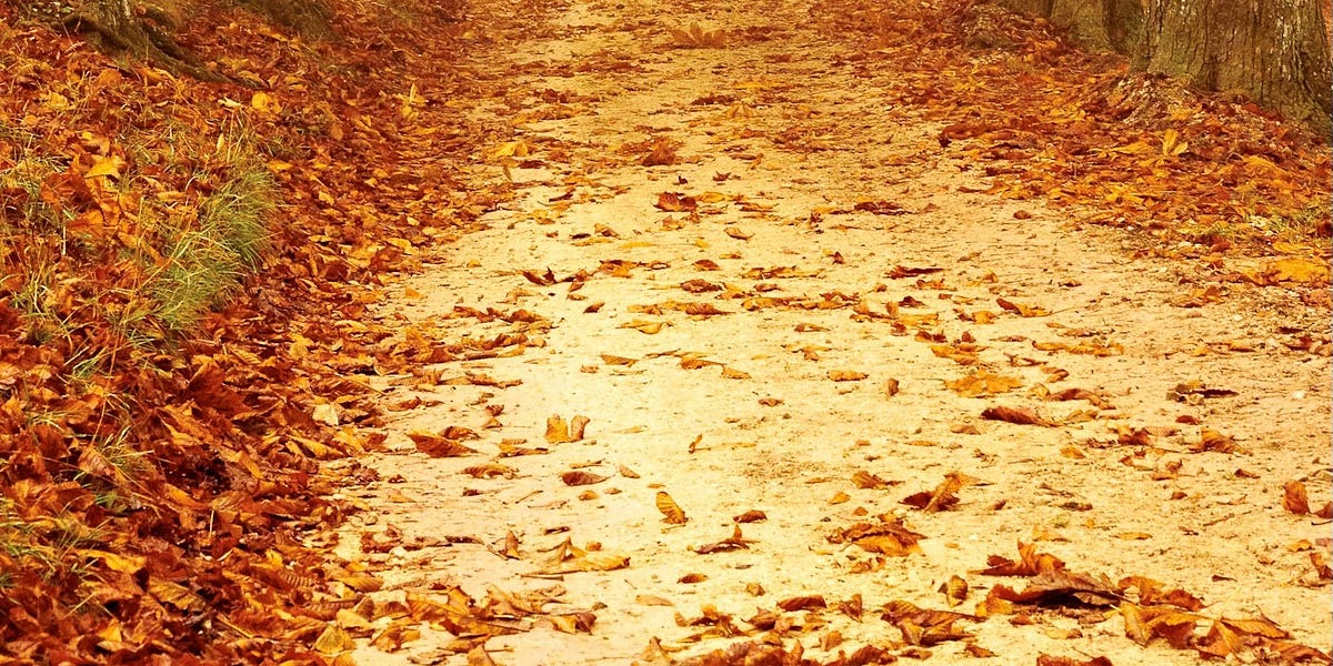 What the Heck is ENCORE? - by Peggy Wallace