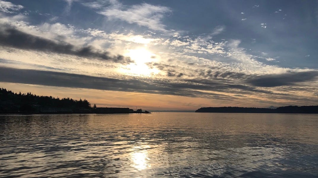 Look back - by Tara Austen Weaver - enJOY