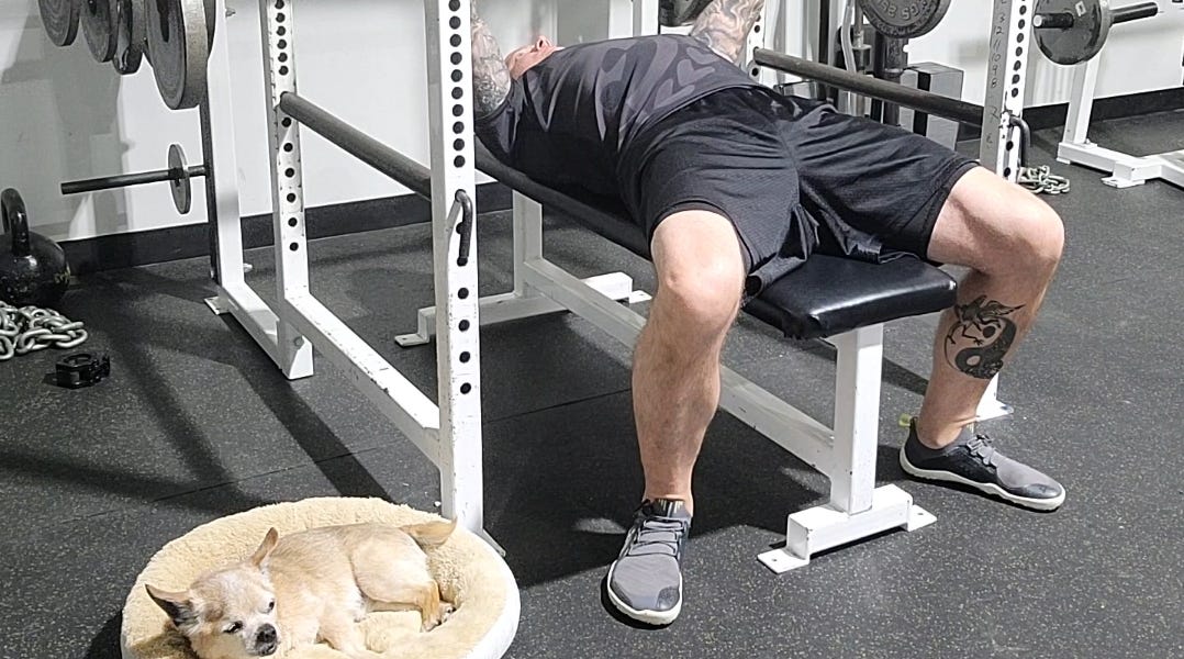 The Seven Movement Patterns Part 4: Push - by Scott Shetler