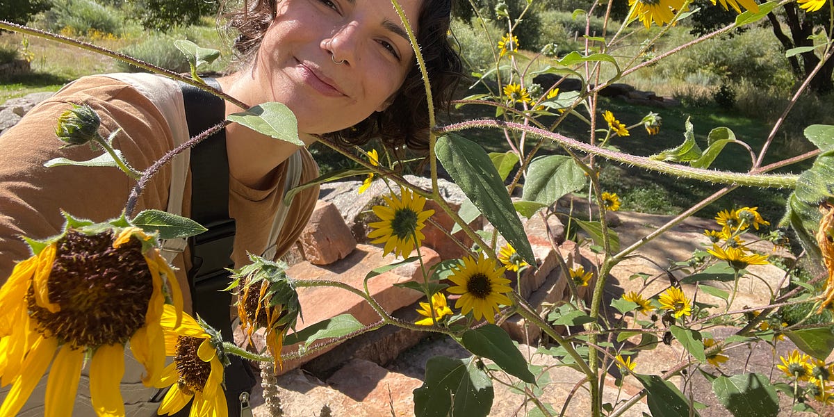 welcome! - by kelly murray - kelly’s Substack