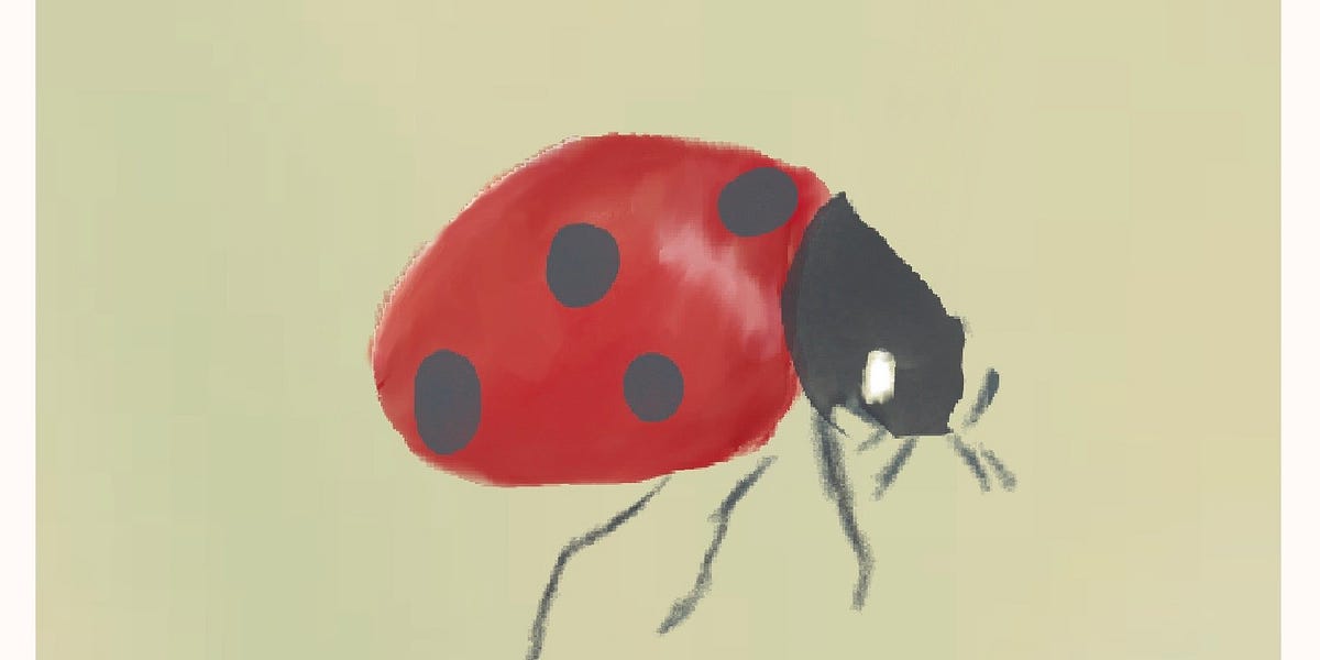 Spotting ladybugs is considered good luck