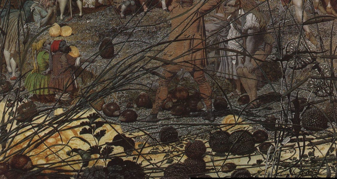 Richard Dadd, ‘The Fairy Feller’s Master-Stroke’ (1855–64)