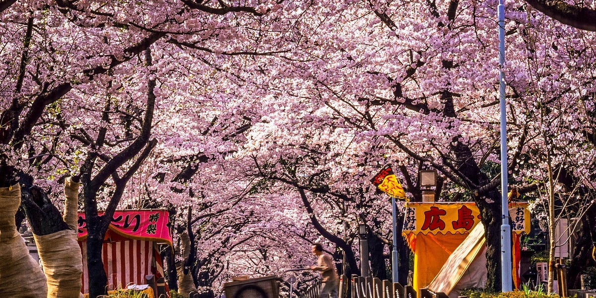 🗼japón Imperdible 🇯🇵 Los 10 Lugares Que No Podés Dejar De Visitar En