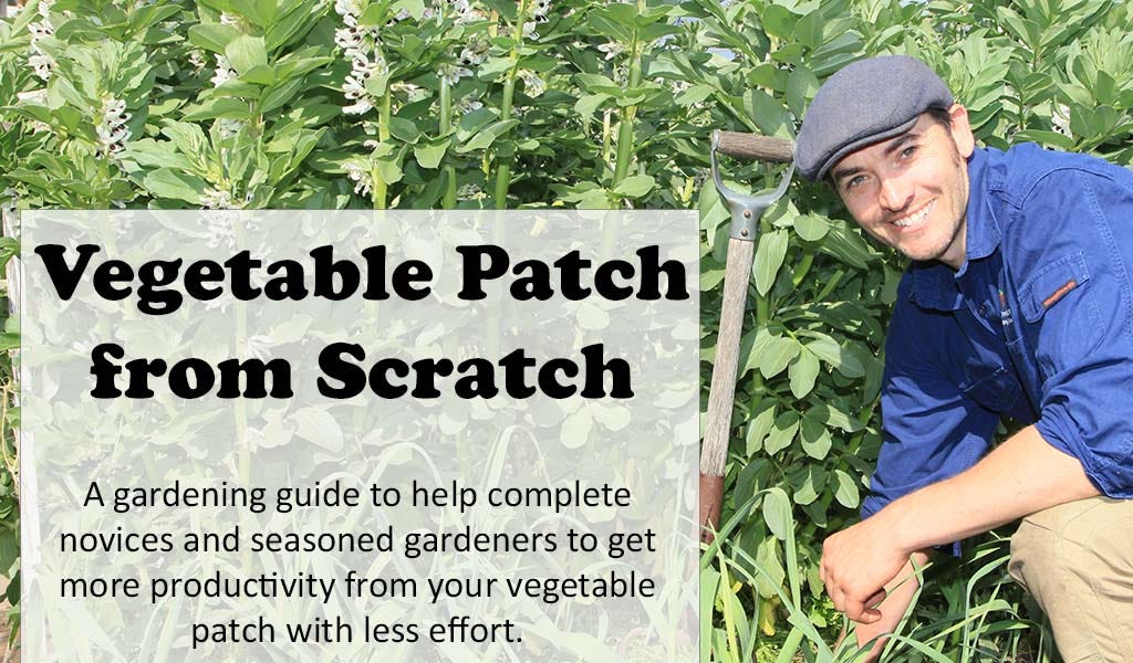 Vegetable Patch from Scratch Series Index