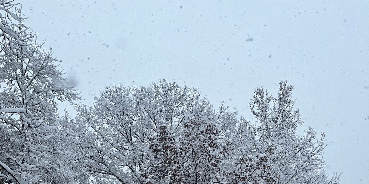 Weintraub Disproves The Main Halfer Argument