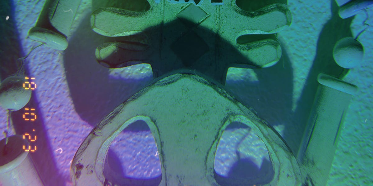 The Liminal Wave #32 - Cassandra’s Substack