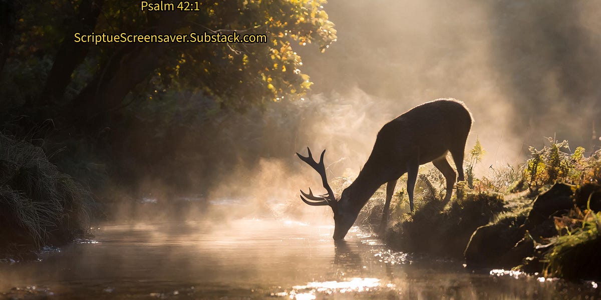 May We Be Desperate Everyday... - Scripture Screensaver