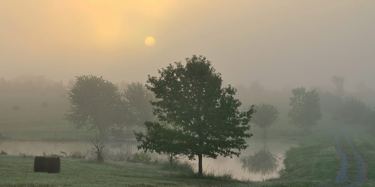 Comments - solid days - by E.G. Runyan - Kansas Kid