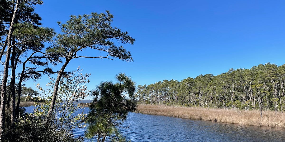 All Creatures - With and Wonder - Chris Rhoden