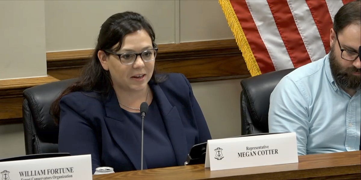 Representative Megan Cotter: RI needs new path for forest stewardship
