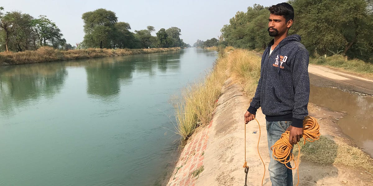 The Diver Who Brings Up the Bodies - by Sunaina Kumar