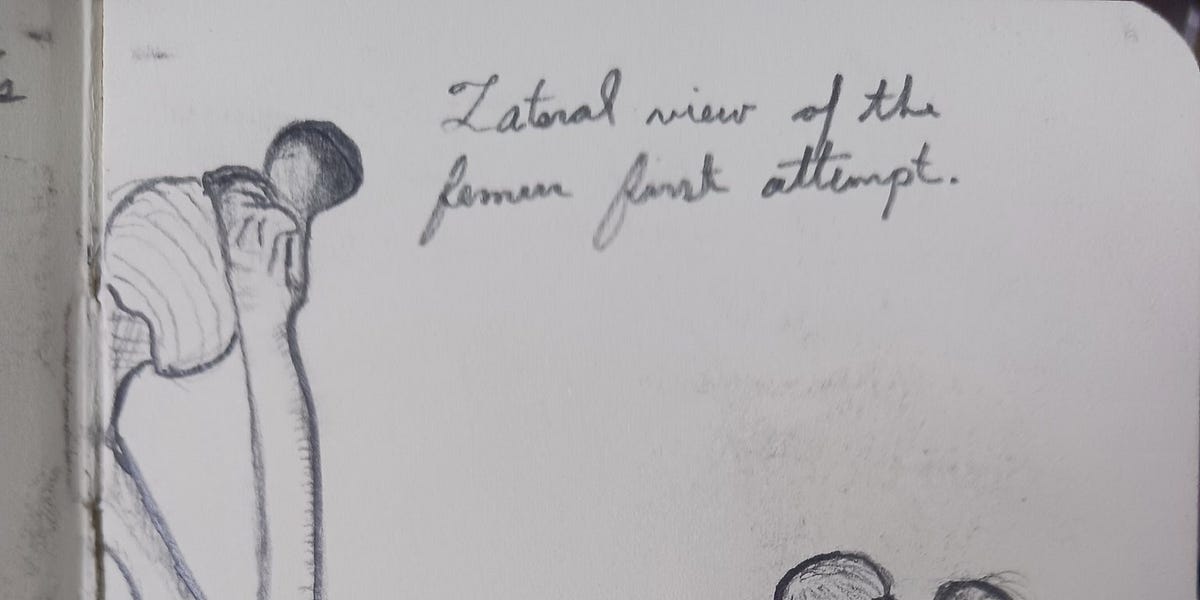 Anatomy Study - Michael’s Substack