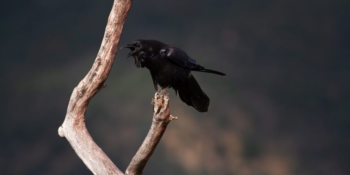 A Quieted Mind - by Troy Putney