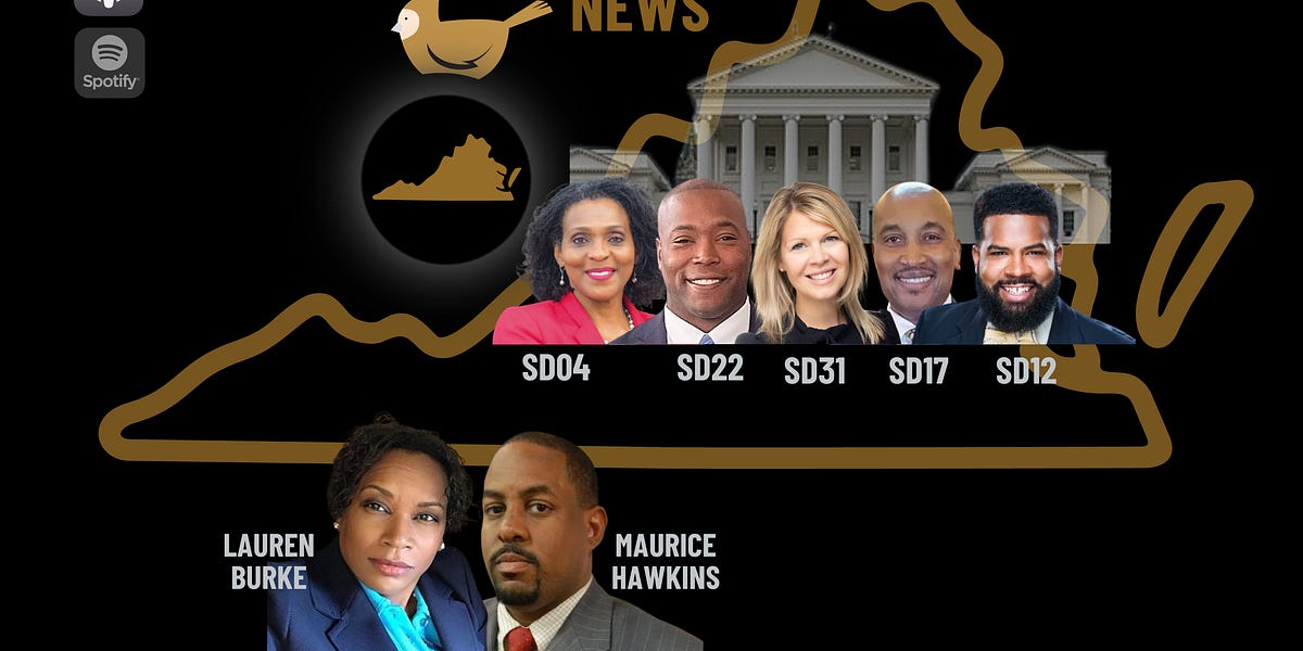 EP16 - Analysis of Competitive #Virginia Senate Races