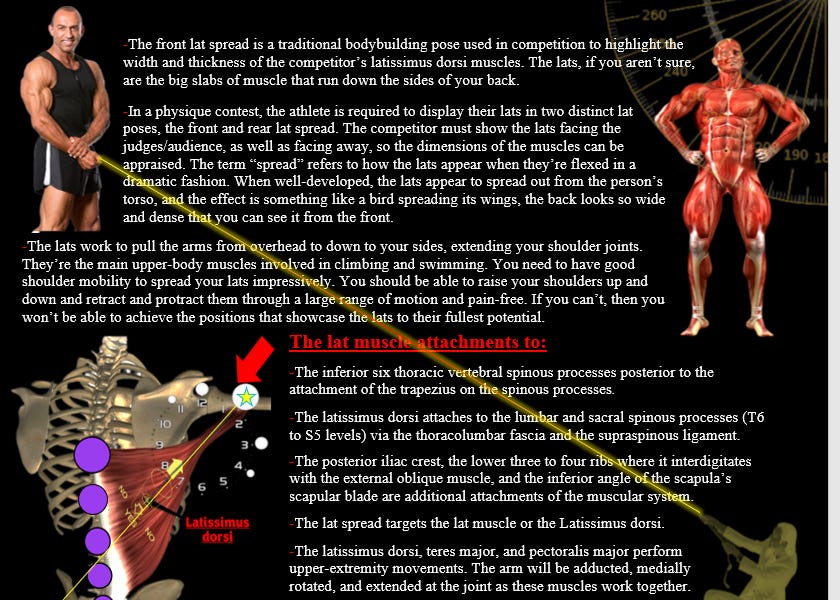 Biomechanics important role in bodybuilding.