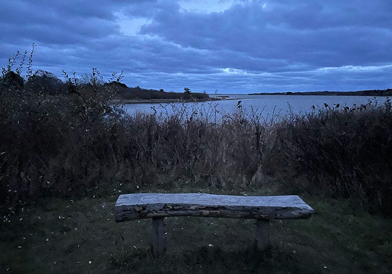 All The Light You Can See - In the Dark