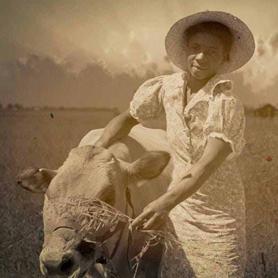 Rhiannon Giddens, k.d. lang, Molly Tuttle, David Byrne, Jeremy Denk ...