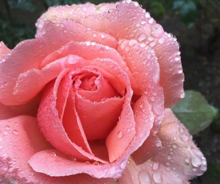 The gift of being seen - by Kai Madrone - The New Story