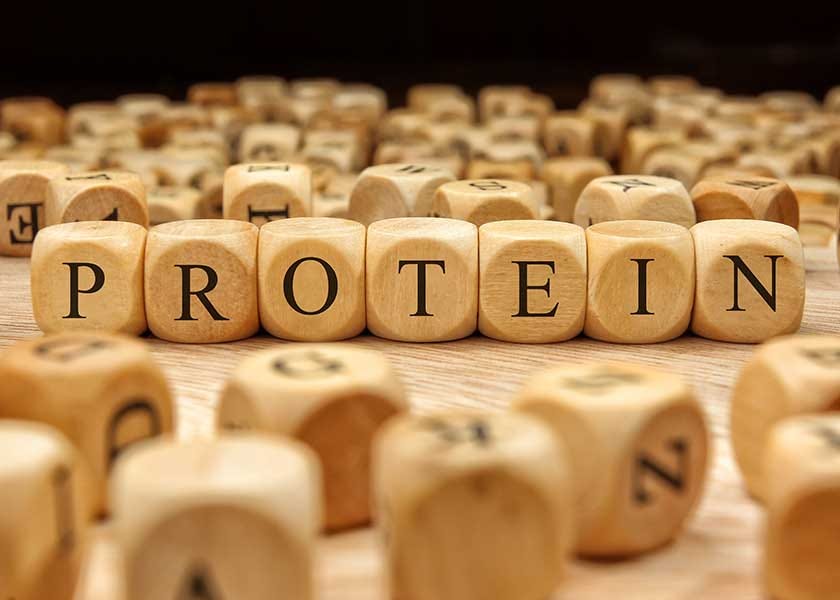 Protein Guidance: How to Get Enough for Optimal Health
