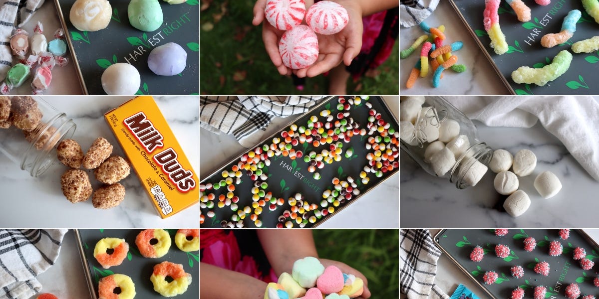 Freeze Dried Candy (& More Freeze Drying Fun)