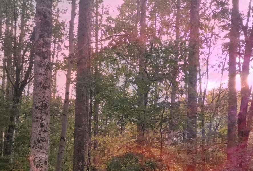 How I Weave Essence Potion Formulas & How You Can Too