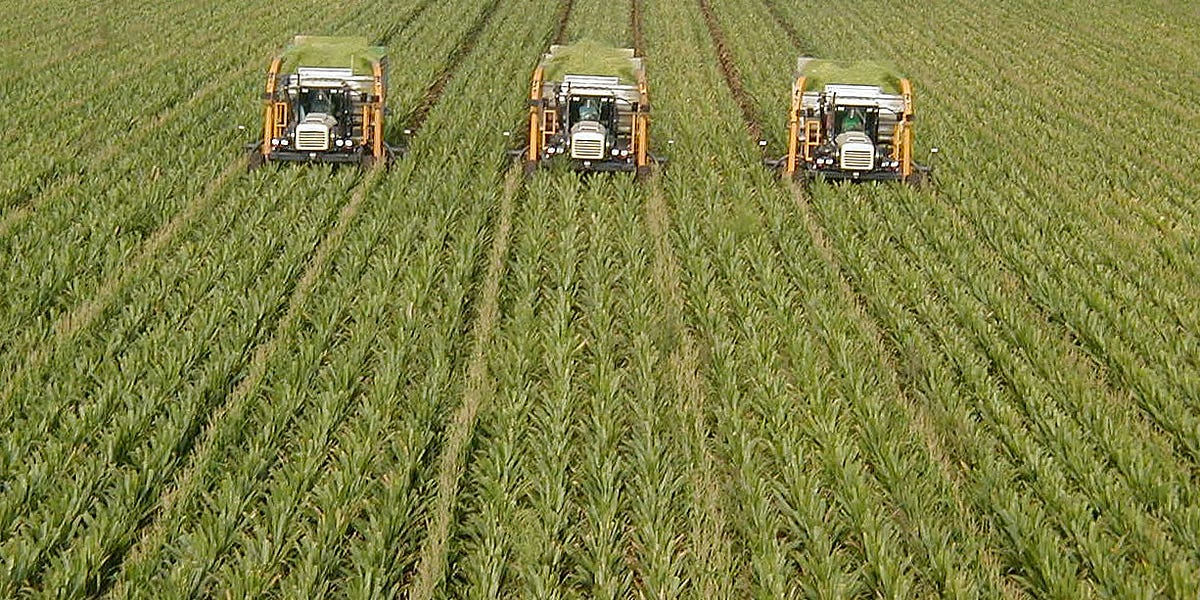 REVIEW: The Wizard and the Prophet, by Charles C. Mann