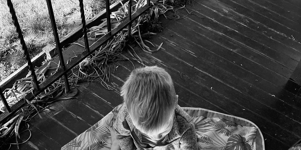 make of it what you will - by Emily Nye Hoos