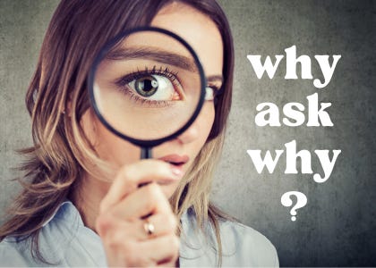 Why ask why? - by Kate Turner Pope - 'did you say Cake?'