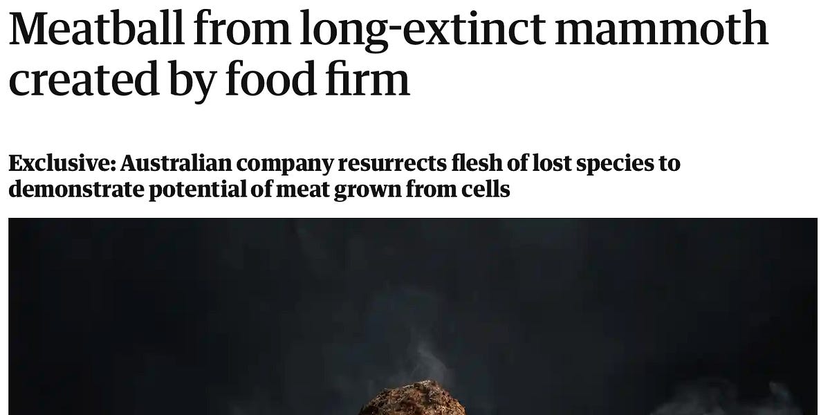 I would totally eat a mammoth meatball.