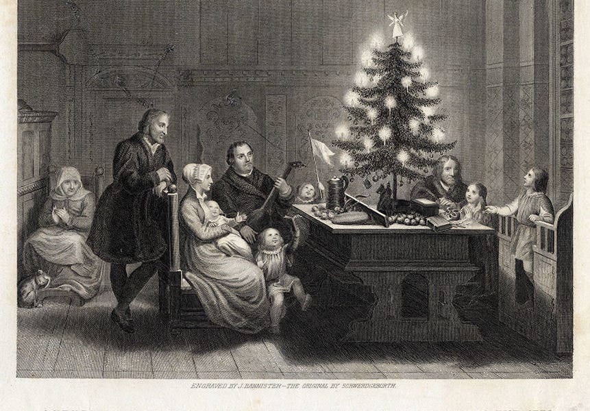 History of the Christmas Tree - by Bill Petro