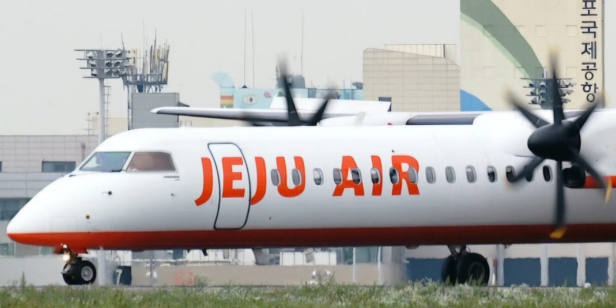 South Korean Plane Crash Claims 179 Lives Out of 181 Onboard