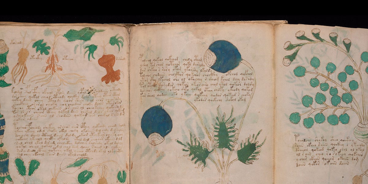 The Voynich Manuscript - Unseen Histories