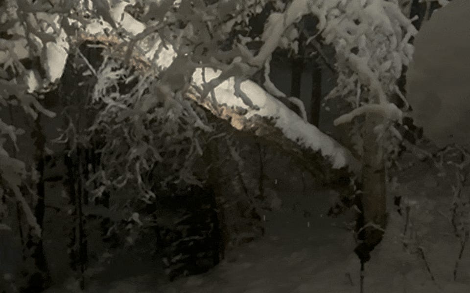 Commonplacing - by Freya Rohn - The Ariadne Archive