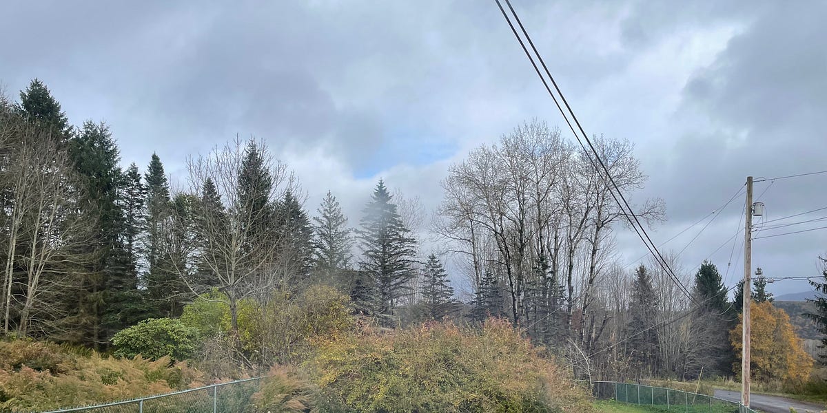 Hello from Backpain - by Sandy Ernest Allen