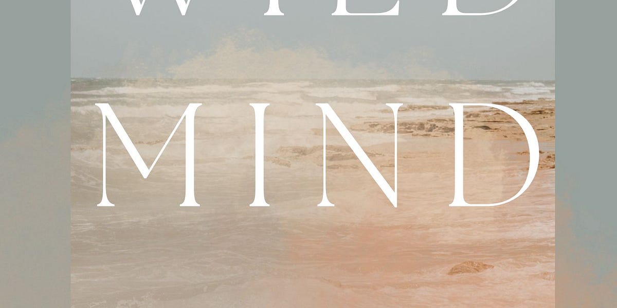 Wild Mind Meditation & Workbook - Sez Kristiansen