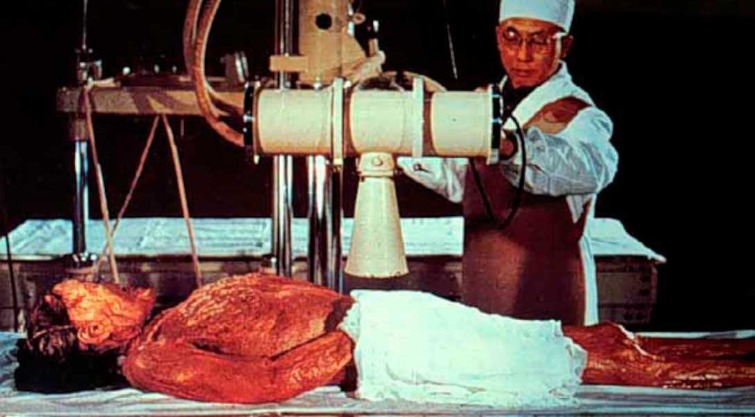 Unbelievable Preservation: Blood Found in Veins of Lady of Dai Mummy