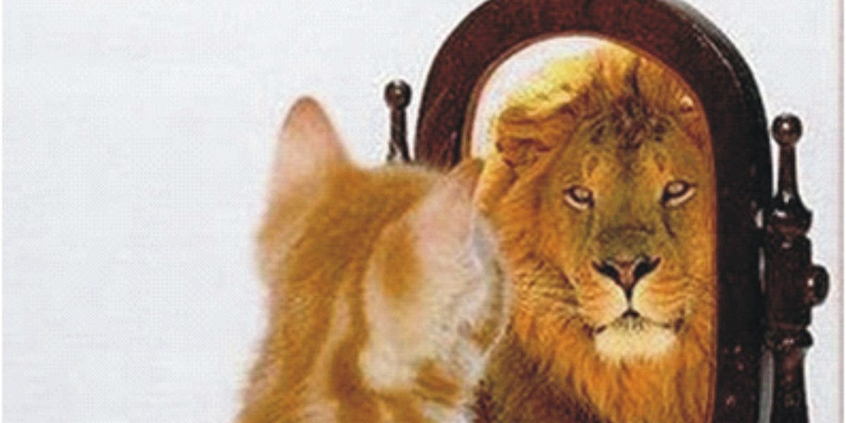 Introduction - by Justin Weiner - Jungle Navigation