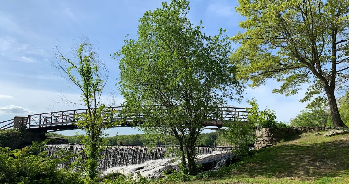 The Little Rhody Governor's Park - by Miles Howard