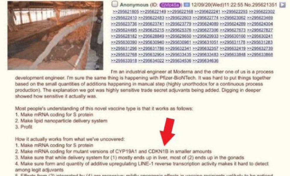 Remember that 4chan post from 2020? - by Jessica Rose