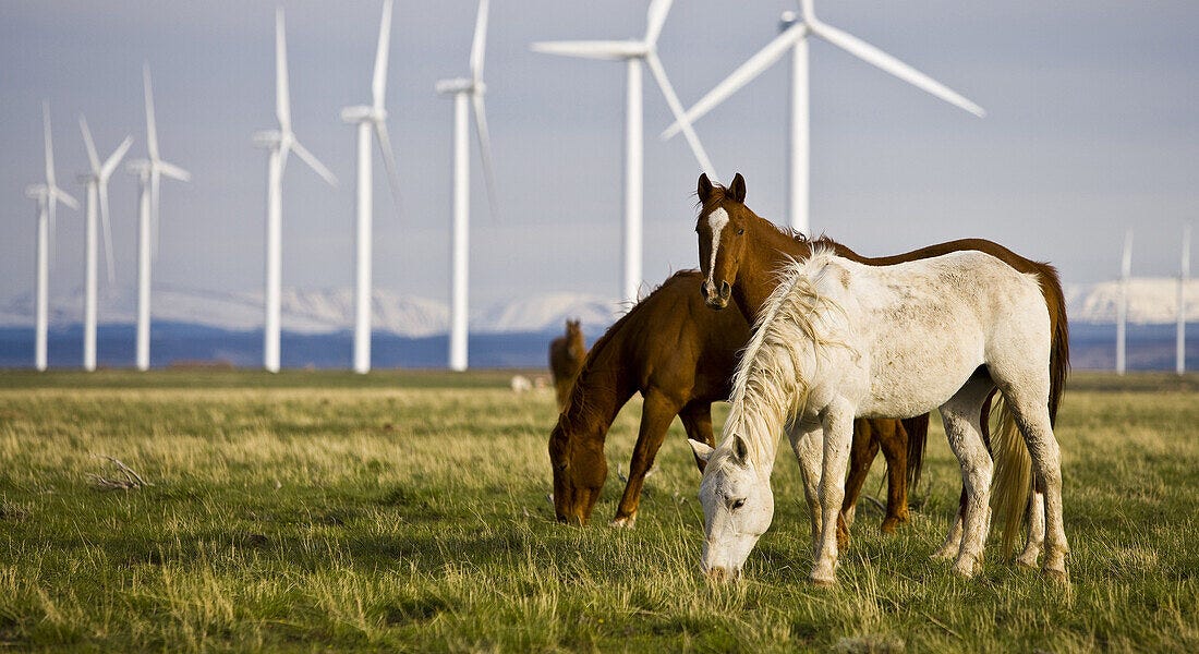 Windletter #28 - El día que la energía eólica salió en los Goya