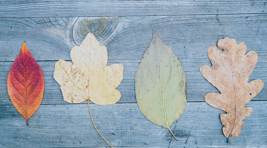 It's never a start-over-from-scratch scenario.