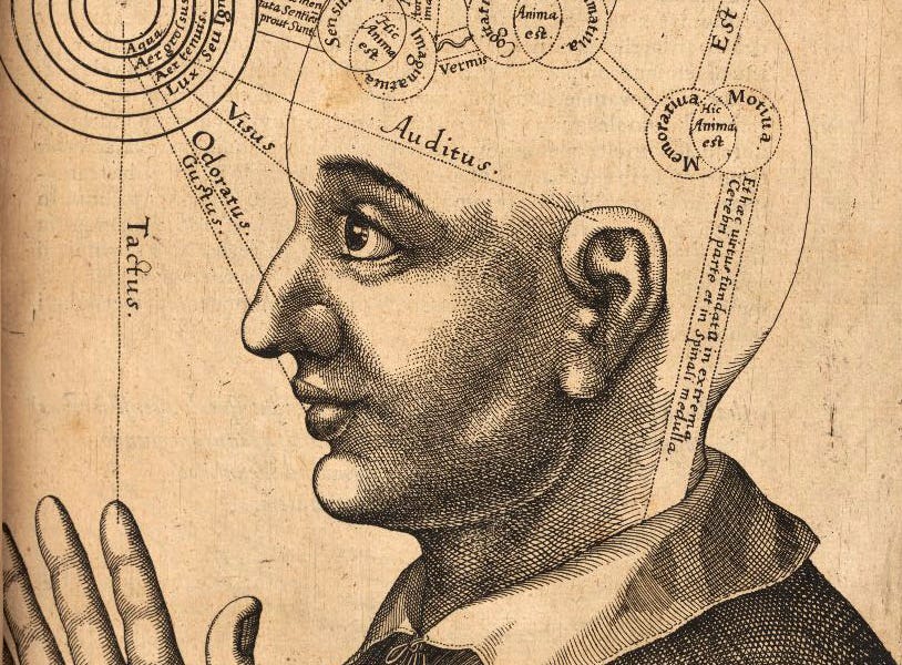 Psykiatrisk diagnostik 5 - by Dr Erik Smedler