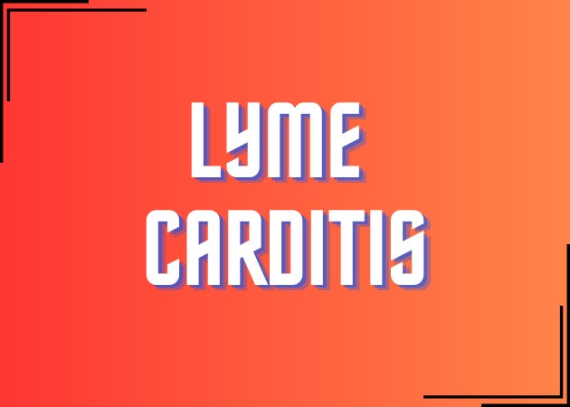 Lyme Carditis Explained: What You Need to Know - by Aram K.