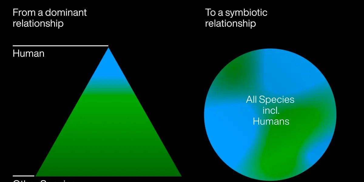 Throughlines - by Thomas Klaffke - Creative Destruction
