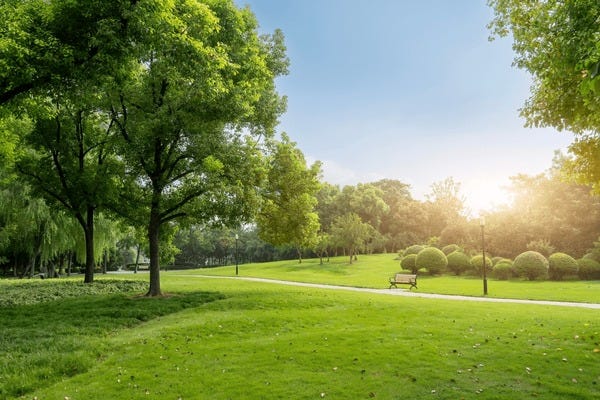 Morning Light Therapy - by Maurice Daher, CNS