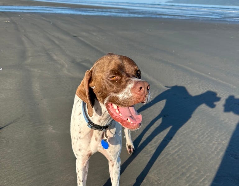 Transformation - by Bevan Holloway