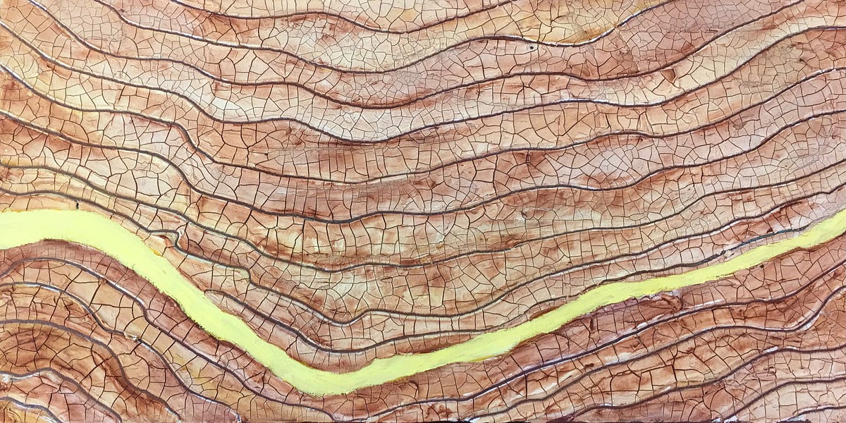Mapping a New Terrain - by Suzanne Scott Constantine